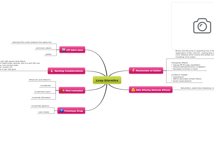 Loop Diuretics - Mind Map